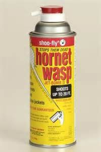 Is Wasp Spray a Good Defense Tool? - Patriot Headquarters Blog